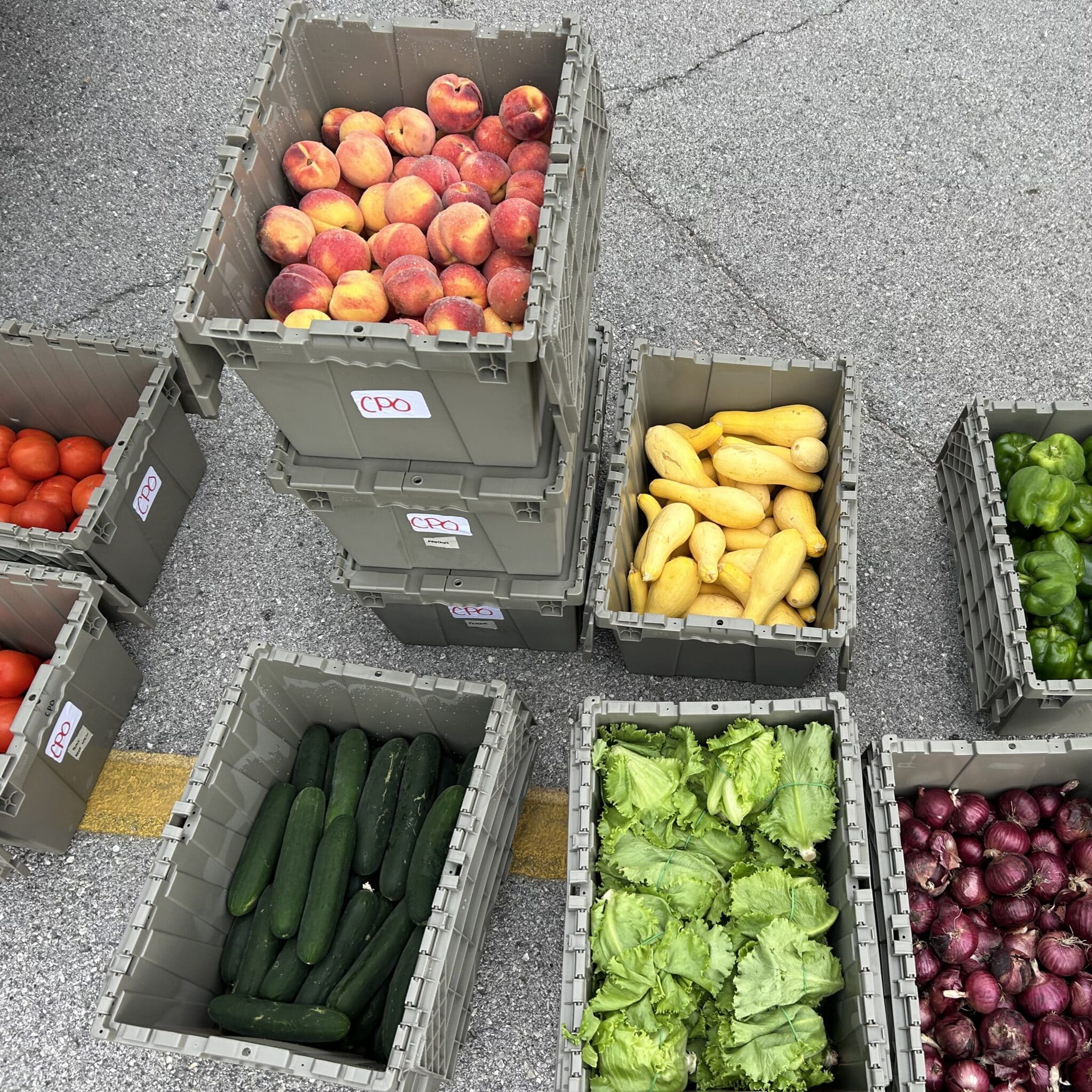 Strong Neighborhoods And Communities - Community Partnership of the Ozarks